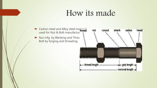 Nuts and Bolts | PPTX