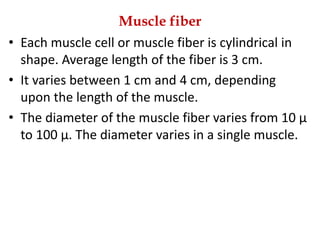 MUSCULAR SYSTEM AND ITS COMPONENTS | PPTX