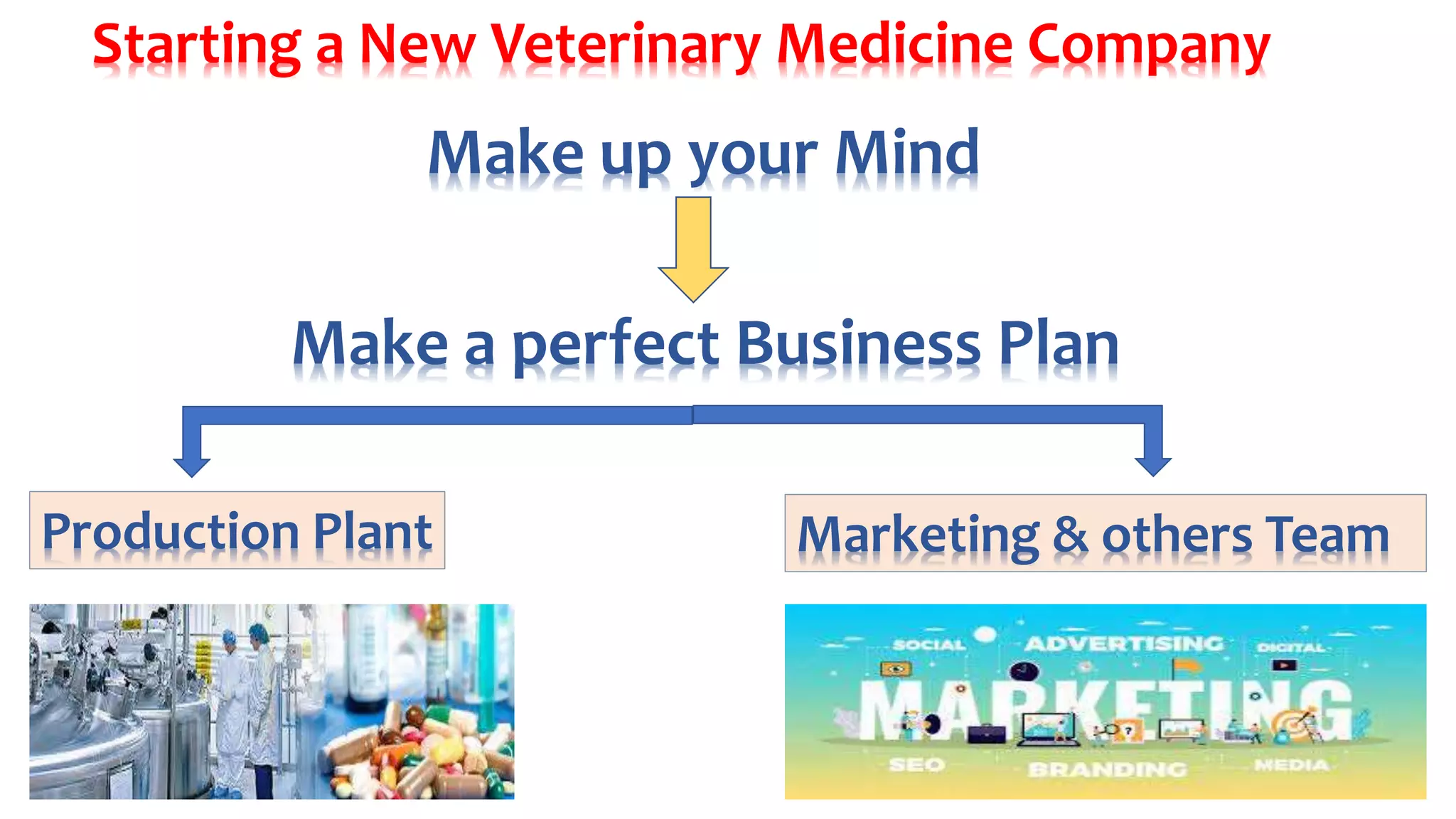 Veterinary Medicine Business Plan.pptx