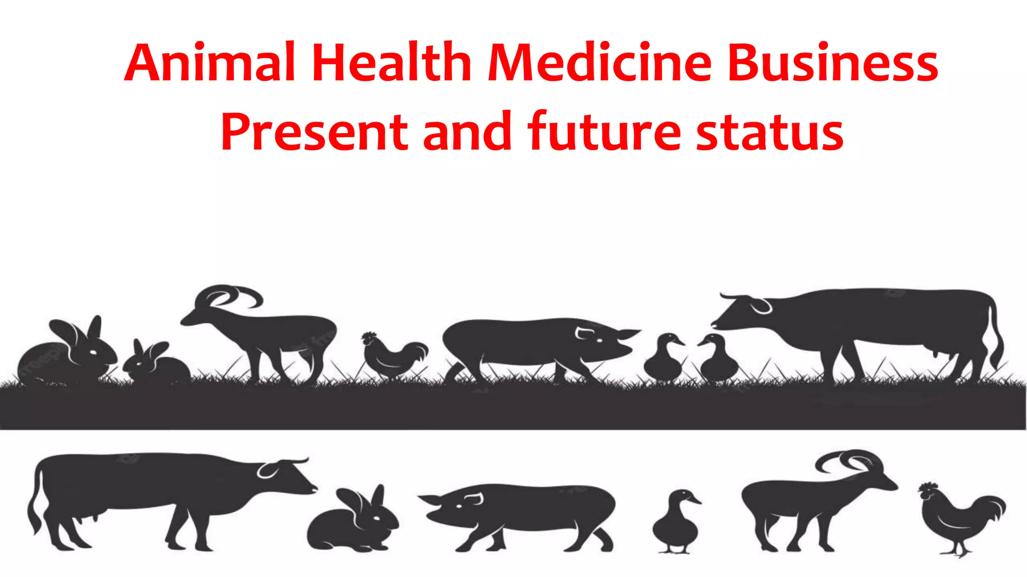 Veterinary Medicine Business Plan.pptx