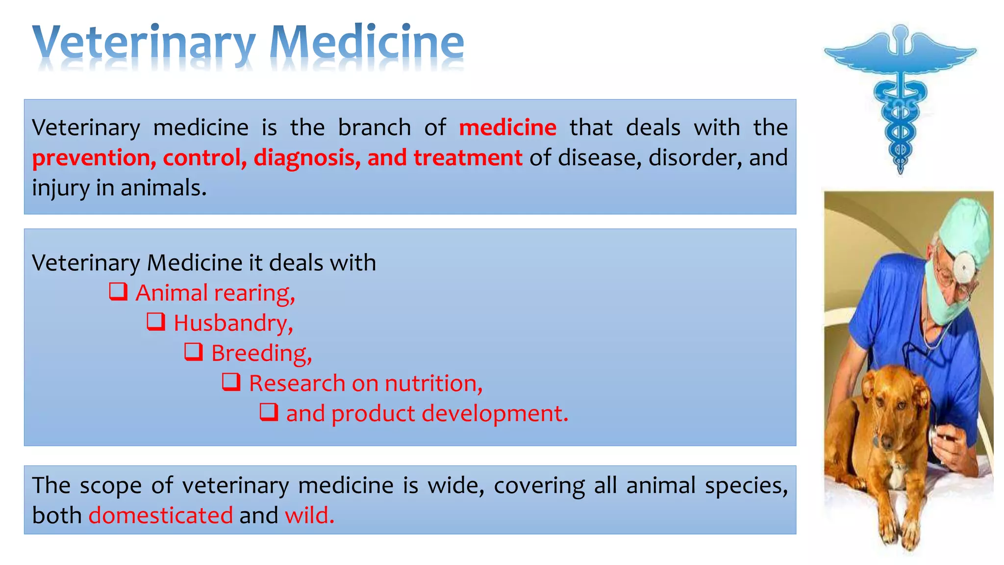 Veterinary Medicine Business Plan.pptx