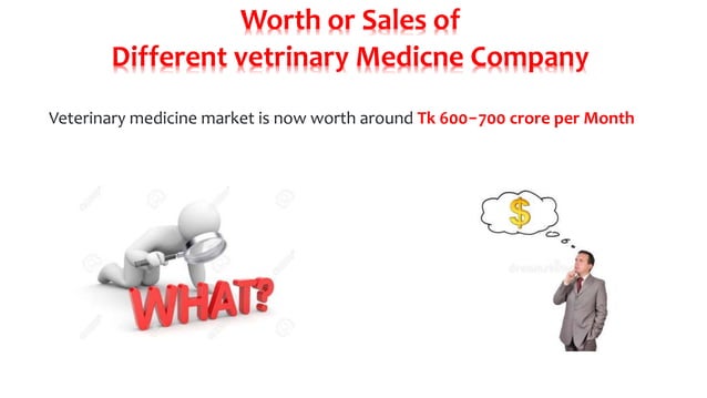 Veterinary Medicine Business Plan.pptx