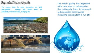 Urbanization & Environment | PPTX