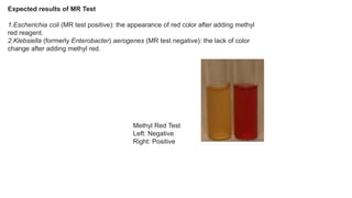 New Microsoft PowerPoint Presentation.pptx