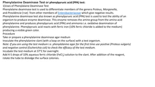 New Microsoft PowerPoint Presentation.pptx