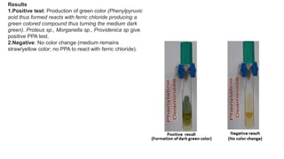 New Microsoft PowerPoint Presentation.pptx