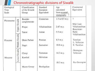 Siwalik- Stratigraphy | PPTX