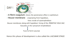 The 2nd week of IUL.pptx