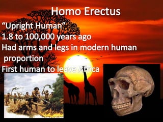 Early Humans .pptx