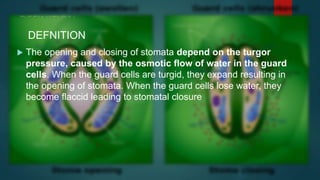 New Microsoft PowerPoint Presentation.pptx