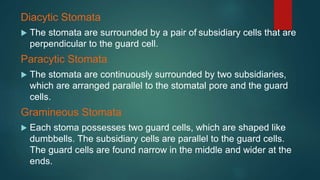 New Microsoft PowerPoint Presentation.pptx