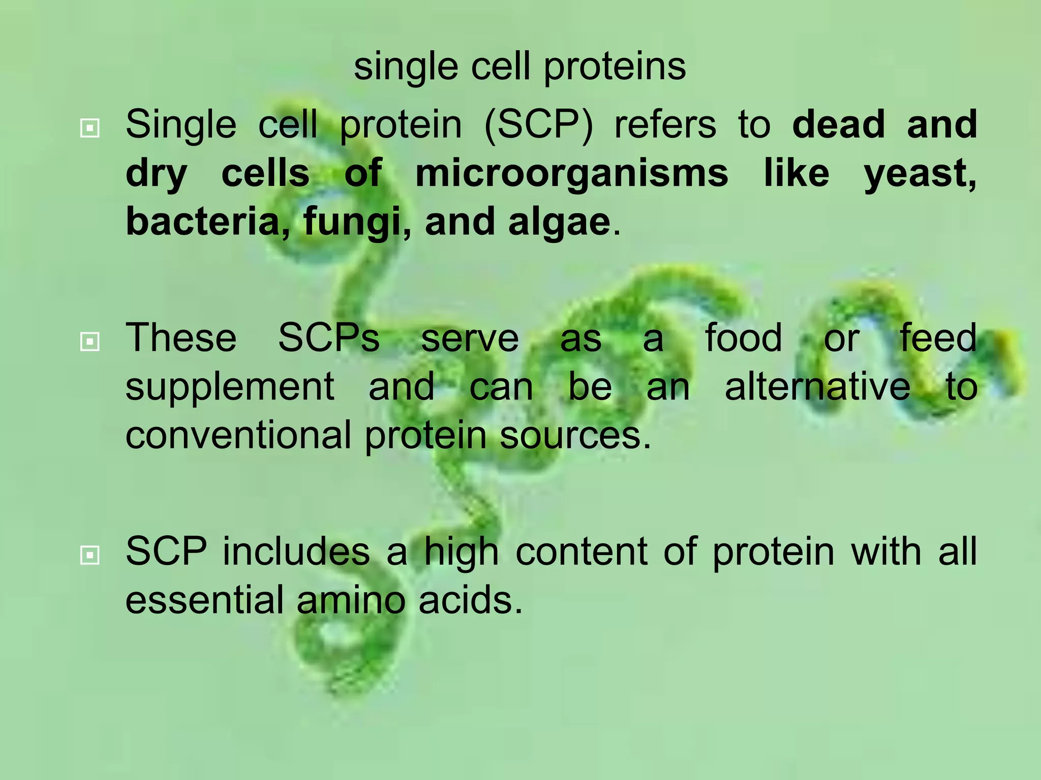 Single Cell protein | PPTX