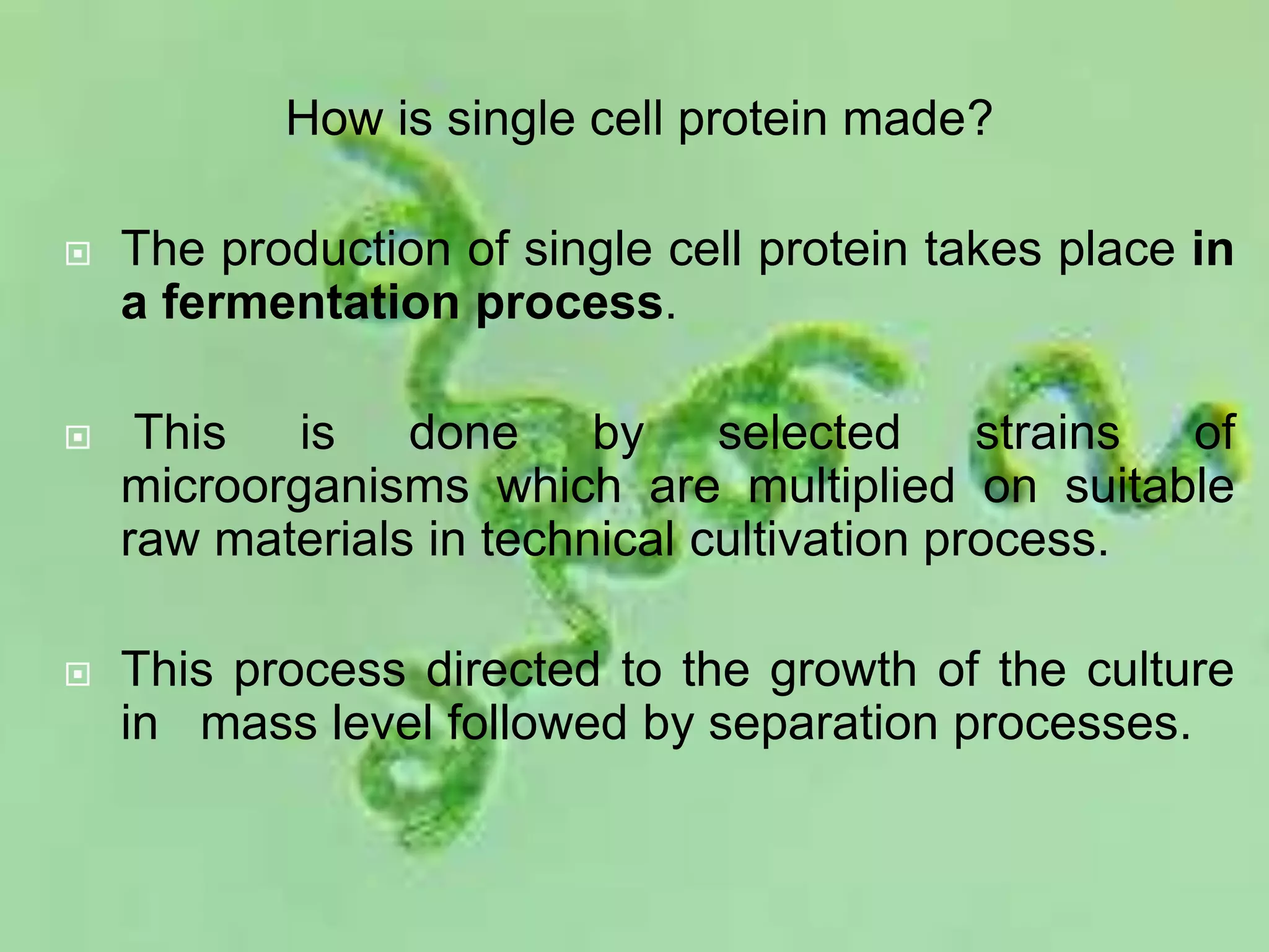 Single Cell protein | PPTX