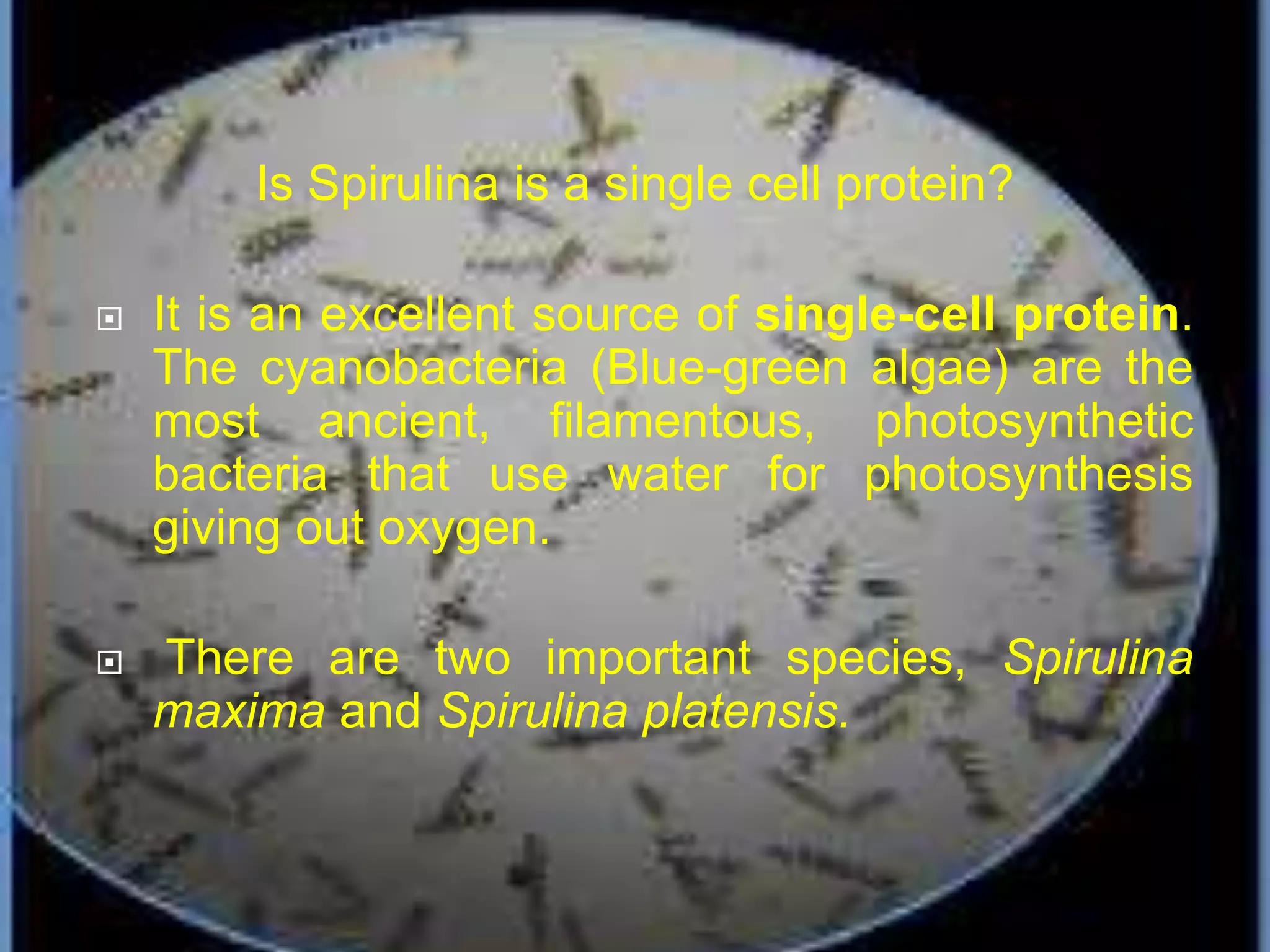 Single Cell protein | PPTX