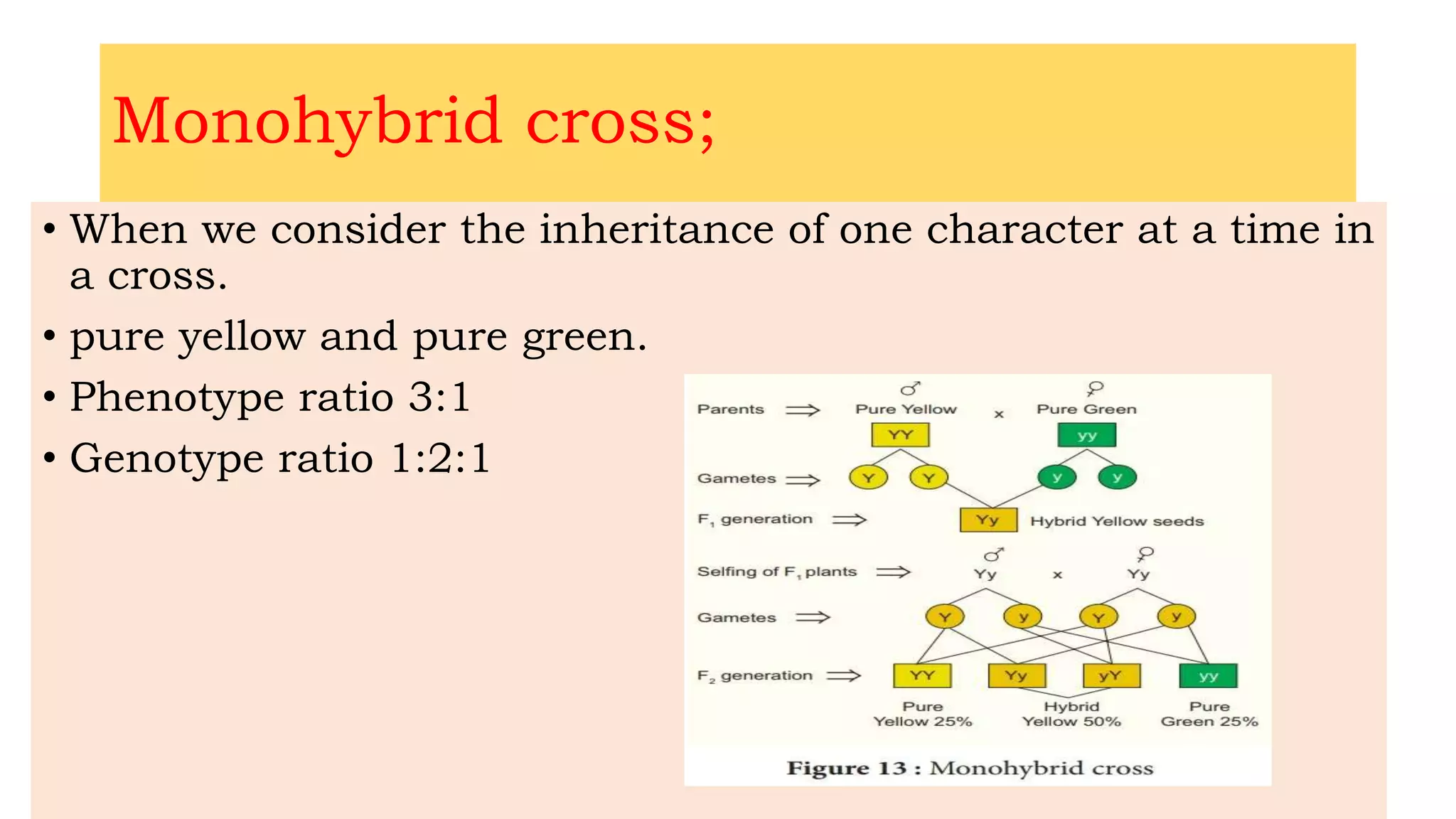 New Microsoft PowerPoint Presentation.pptx