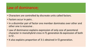 New Microsoft PowerPoint Presentation.pptx