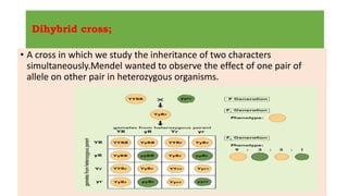New Microsoft PowerPoint Presentation.pptx