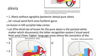 New Microsoft PowerPoint Presentation.pptx