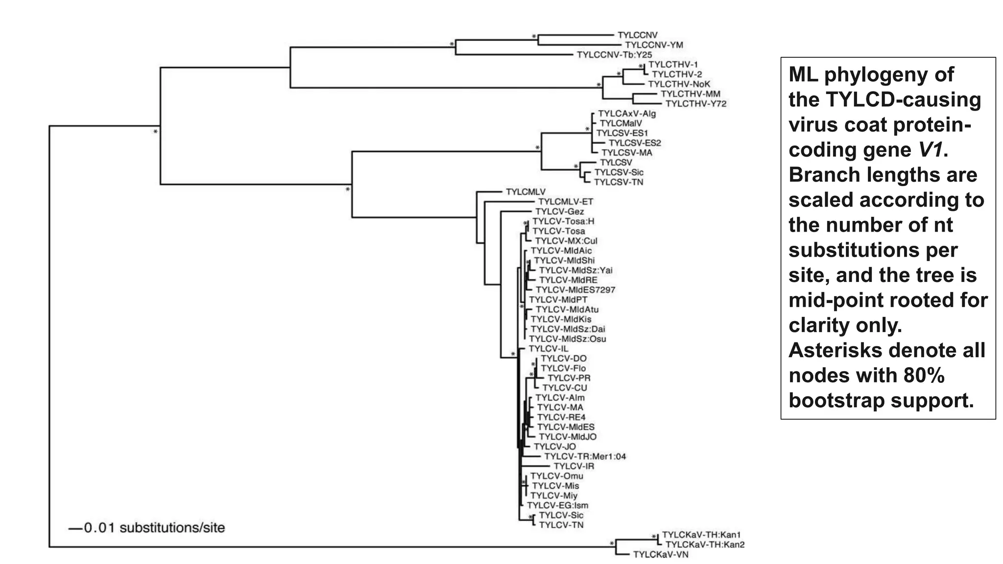 Origin and evolution of virus .pptx