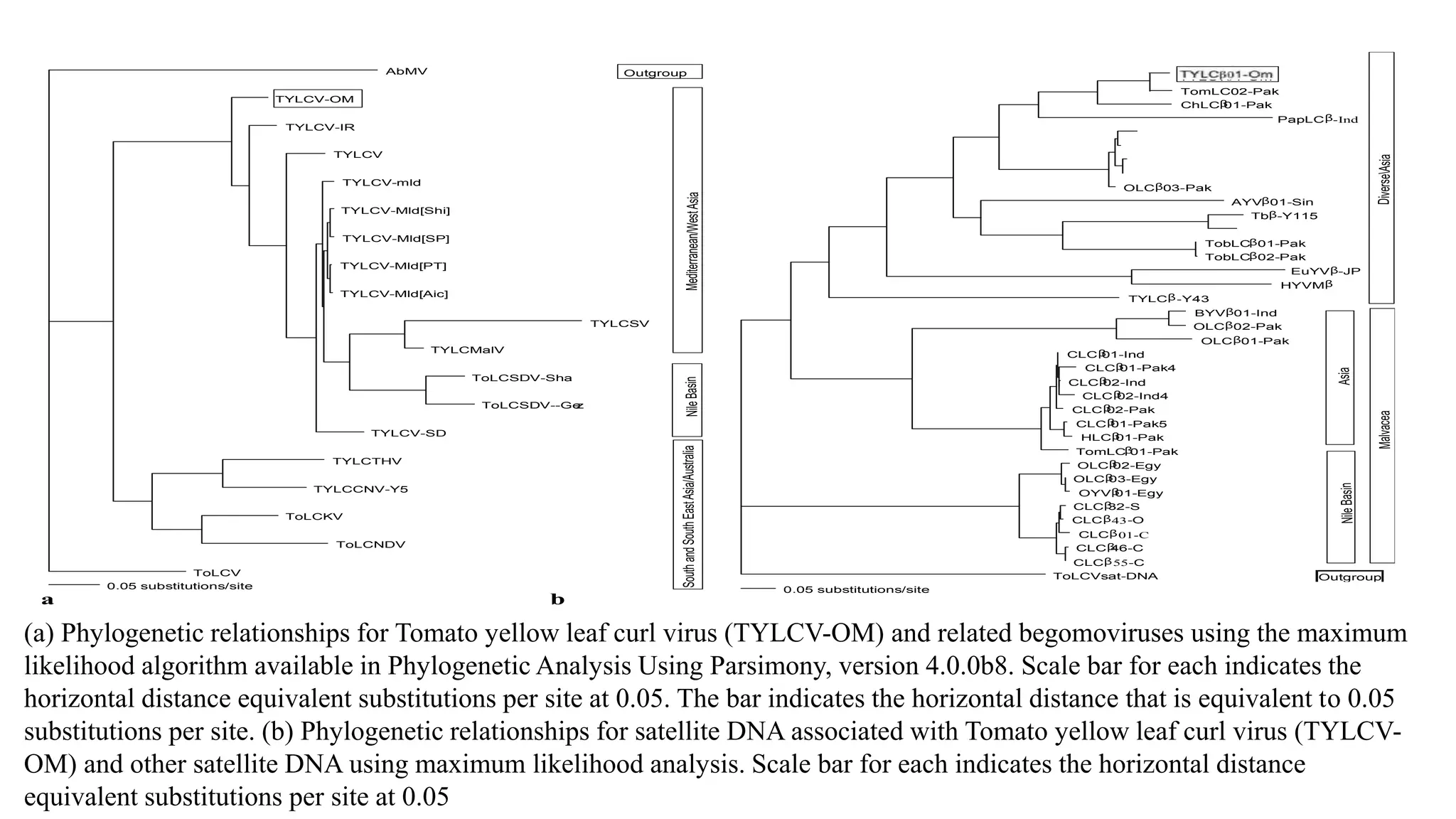 Origin and evolution of virus .pptx
