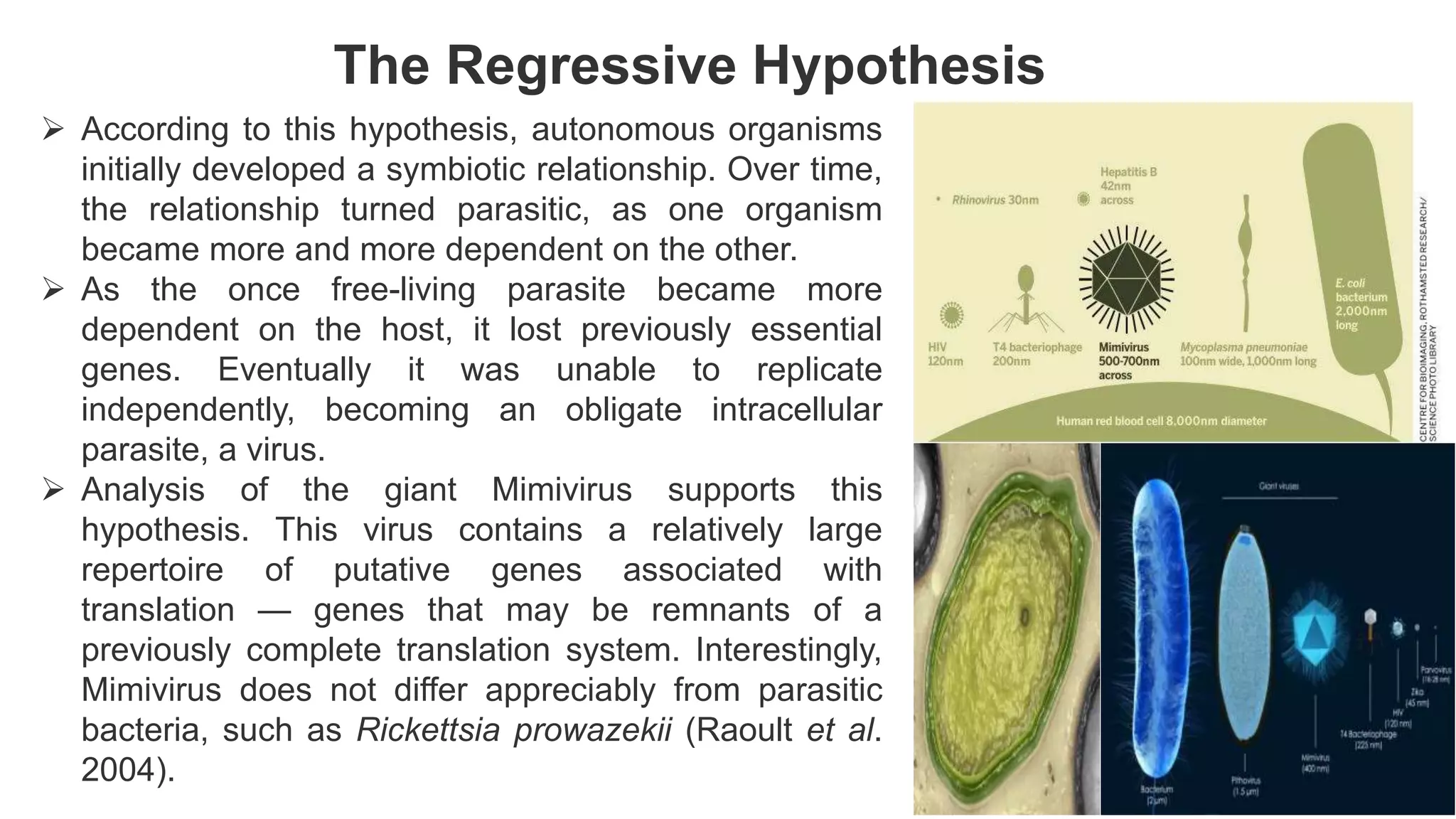 Origin and evolution of virus .pptx