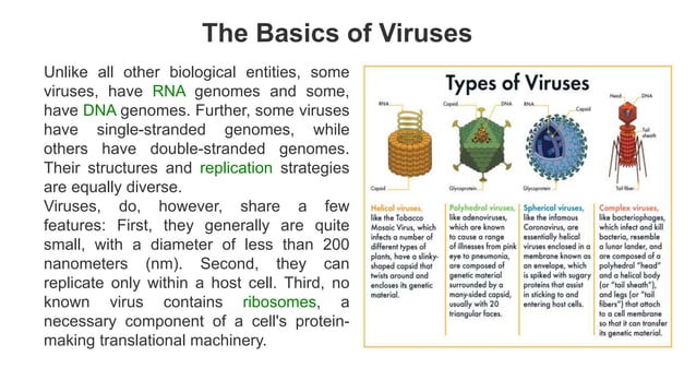 Origin and evolution of virus .pptx