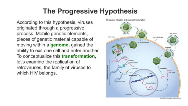 Origin and evolution of virus .pptx