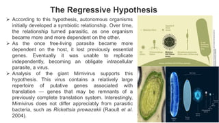 Origin and evolution of virus .pptx