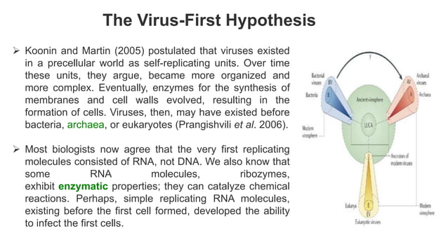 Origin and evolution of virus .pptx