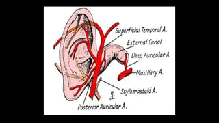 Auricular reconstruction.pptx
