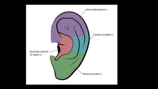 Auricular reconstruction.pptx