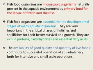 Collection and isolation of live food organisms | PPT