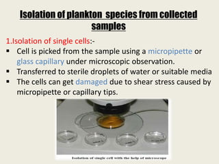 Collection and isolation of live food organisms | PPT