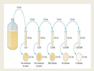 Collection and isolation of live food organisms | PPT