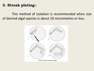 Collection and isolation of live food organisms | PPT