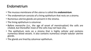 Histology of Female Reproductive System.pptx