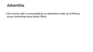 Histology of Female Reproductive System.pptx