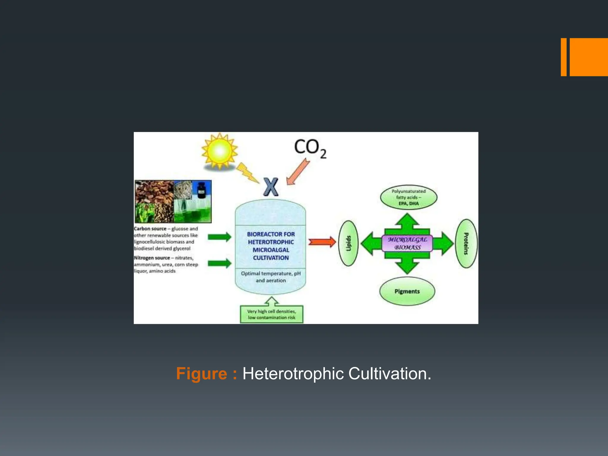 Microalgae Cultivation Methods | PPTX