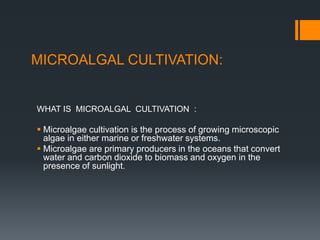 Microalgae Cultivation Methods | PPTX
