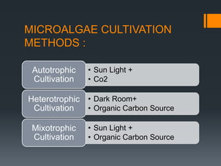 Microalgae Cultivation Methods | PPTX