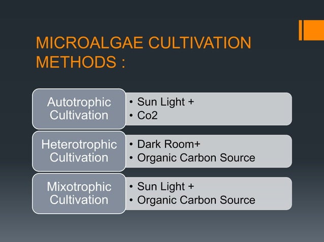 Microalgae Cultivation Methods | PPTX | Geography | Science