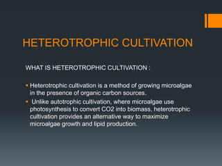 Microalgae Cultivation Methods | PPTX