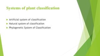 New Microsoft PowerPoint Presentation.pptx