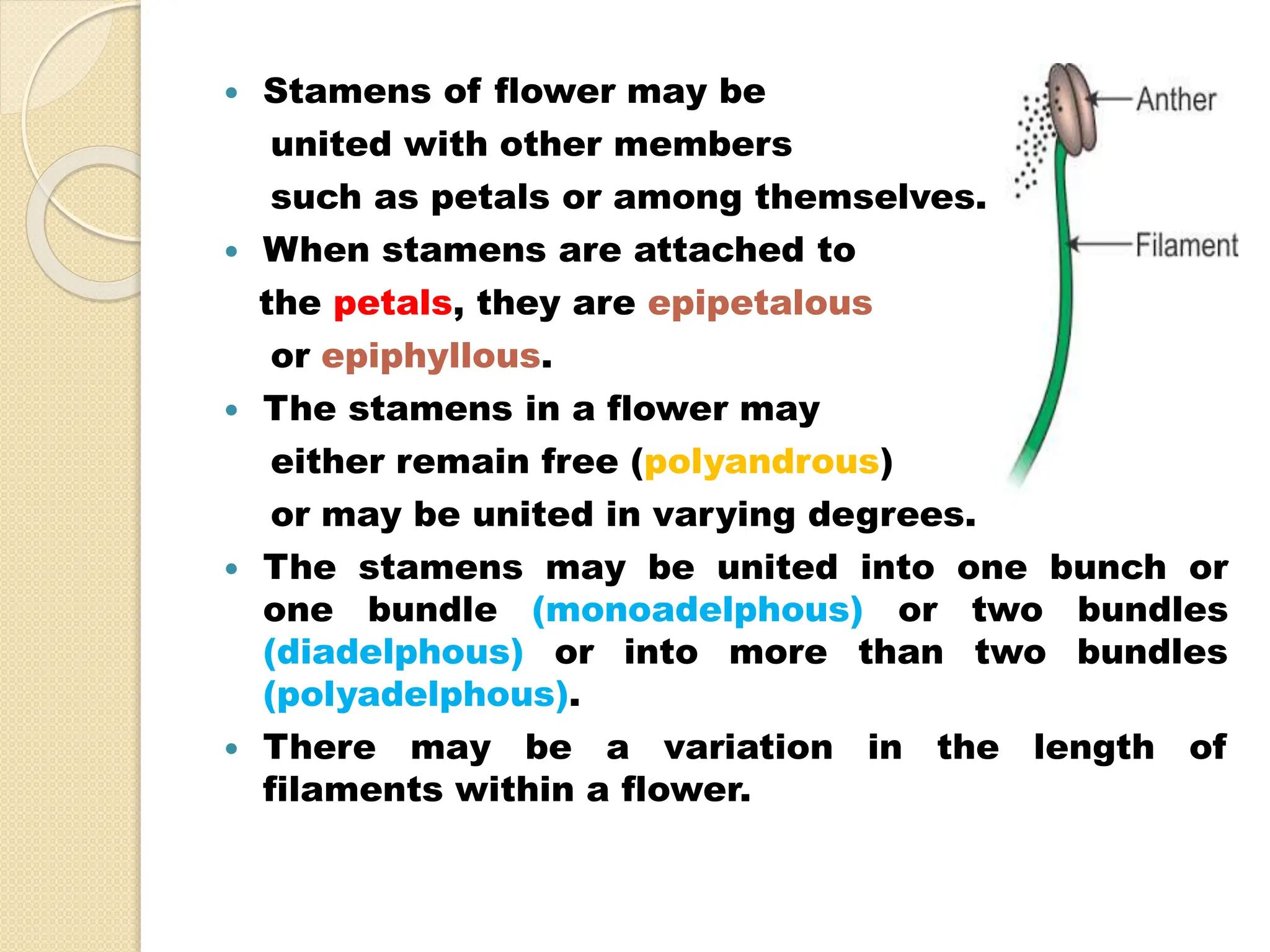 Description of flowering plants in botanical terms in relation to ...