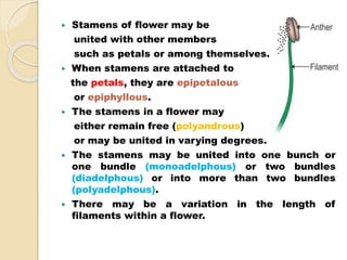 Description of flowering plants in botanical terms in relation to ...