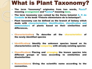 Description of flowering plants in botanical terms in relation to ...