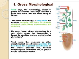 Description of flowering plants in botanical terms in relation to ...