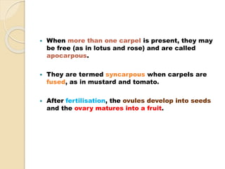 Description of flowering plants in botanical terms in relation to ...