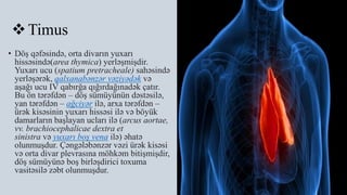 Radiologiya timus şişlərinin radiologiyası, X-ray. | PPTX