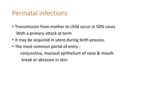 New Microsoft PowerPoint Presentation.pptx